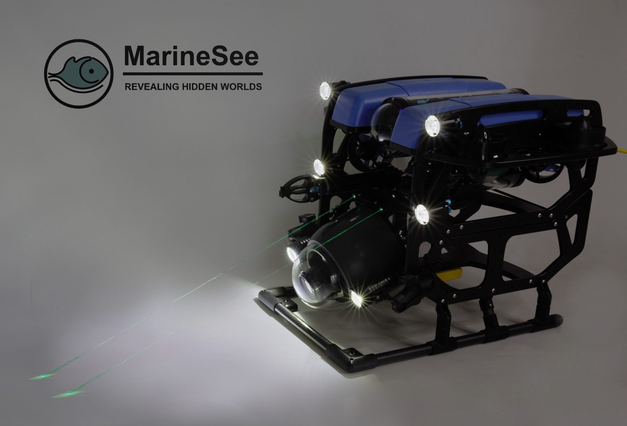 100mm Laser Scaler - MarineSee